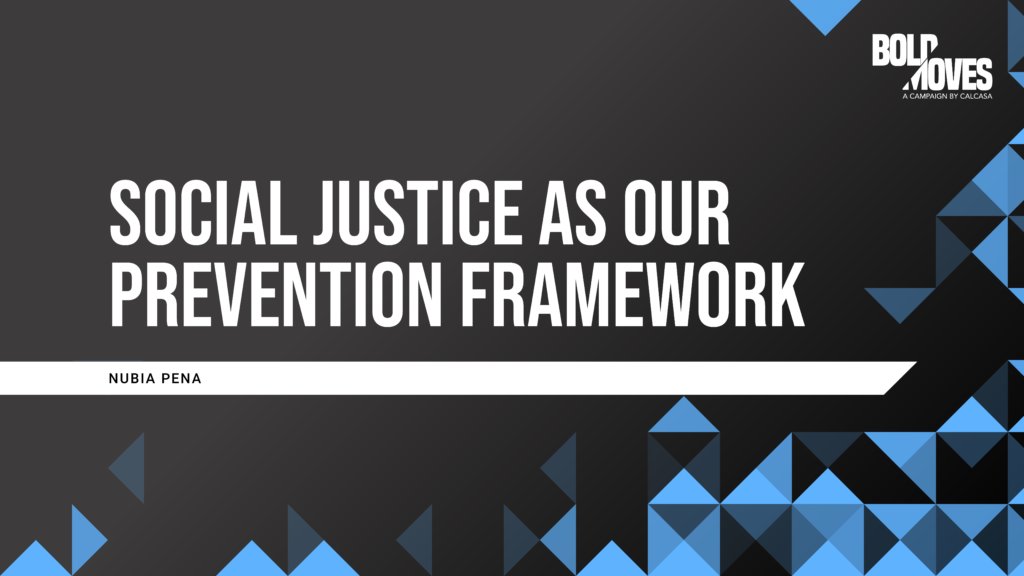 Social Justice as Our Prevention Framework - National Sexual Assault ...